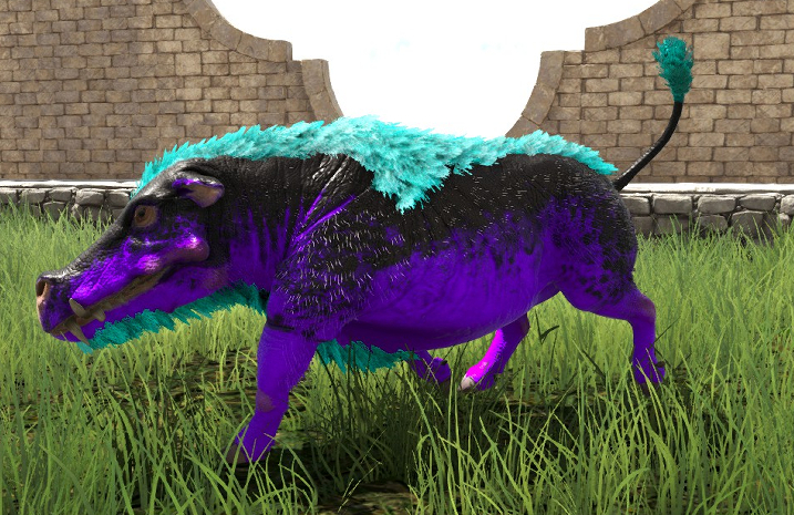 Daedon – Melamar Dino Emporium