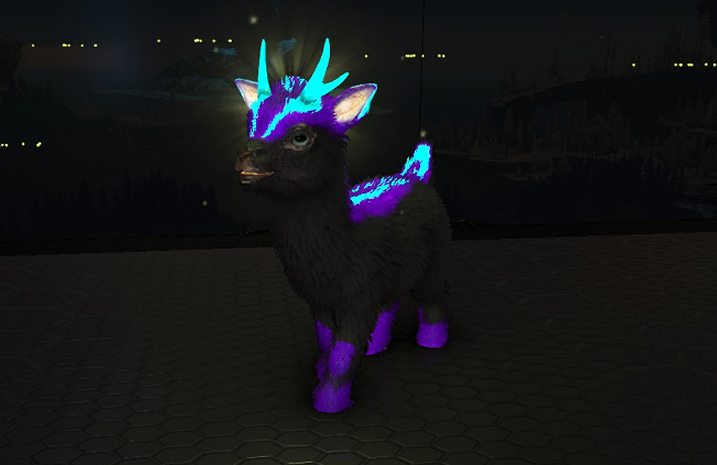 Shinehorn – Melamar Dino Emporium