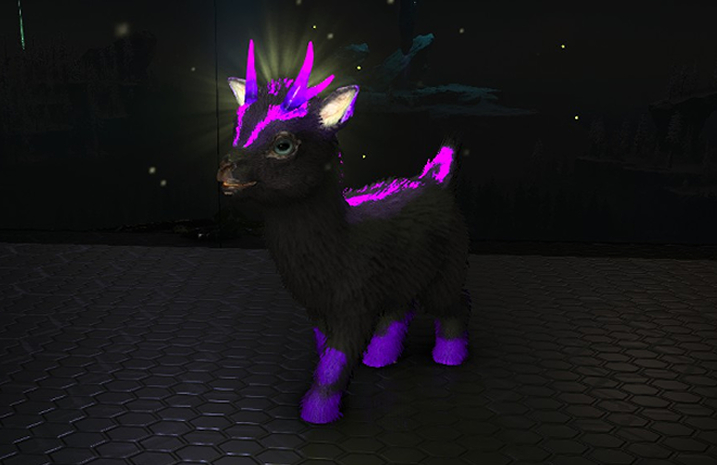 Shinehorn – Melamar Dino Emporium