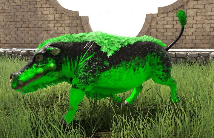 Daedon – Melamar Dino Emporium